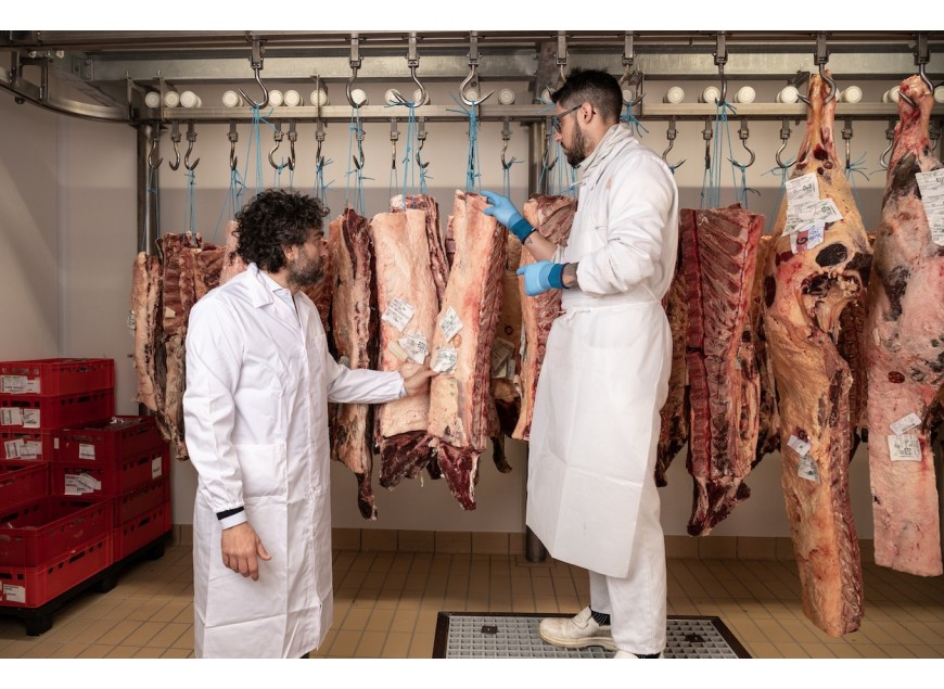 Dalla selezione alla personalizzazione: i nostri impegni - Marchi Spa